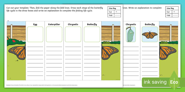 Butterfly Folding Life Cycle Template (teacher made)