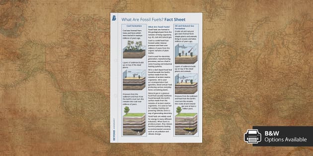 What Are Fossil Fuels? Fact Sheet (teacher made) - Twinkl