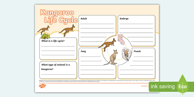 Kangaroo Life Cycle Fact File Template (teacher made)