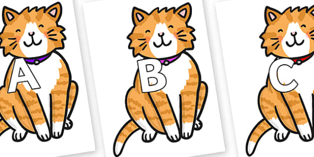 FREE! - A-Z Alphabet on Cat (Teacher-Made) - Twinkl
