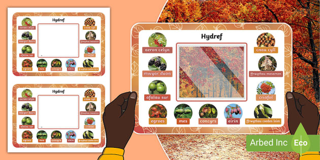 Ffrâm Ysbïo Natur: Yr Hydref (teacher made) - Twinkl