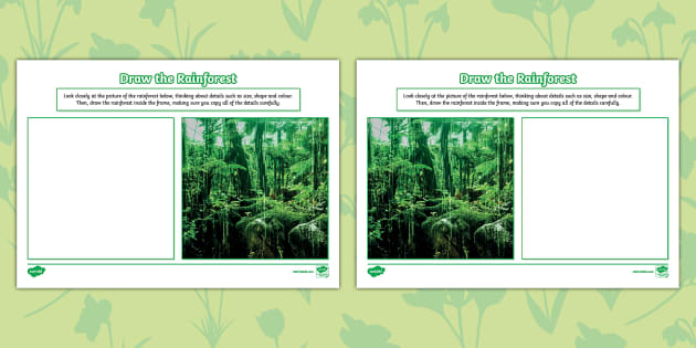 Draw the Rainforest Worksheet (teacher made) - Twinkl