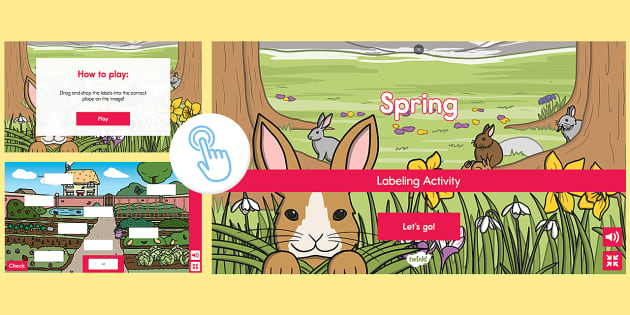 Spring Interactive Labeling Activity (teacher made)
