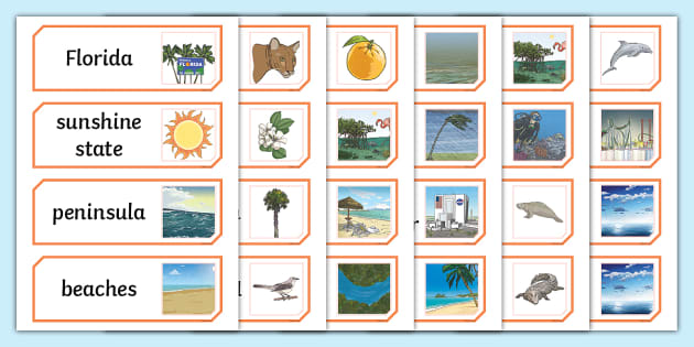 Florida Display Word Cards (teacher made) - Twinkl