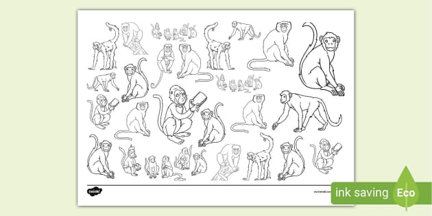 Monkey Doodle Colouring Page (teacher made) - Twinkl