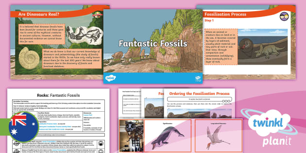 Year 4 Science Rocks Lesson 3 Fantastic Fossils - Twinkl