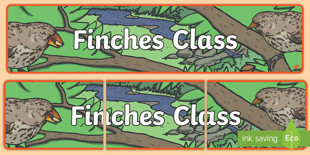 Finches Themed Classroom Display Banner (teacher made)