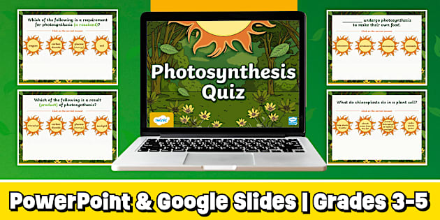 Photosynthesis PowerPoint & Google Slides Quiz