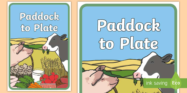 Paddock to Plate Editable Book Cover (teacher made)