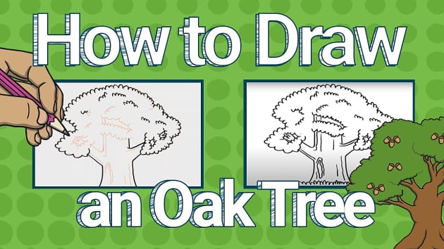 How to Draw a Tree | Oak Tree Drawing | Twinkl Kid's TV