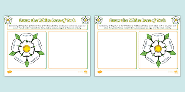 Draw the White Rose of York Worksheet (teacher made)
