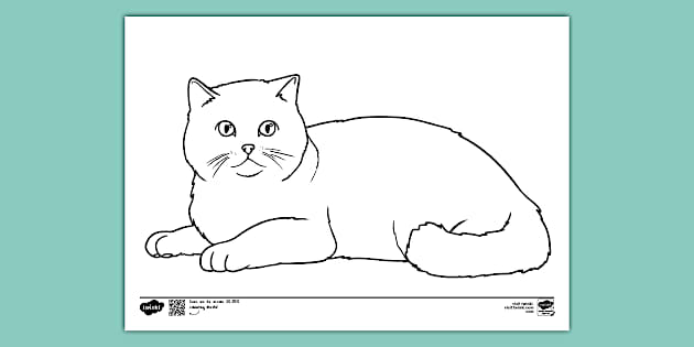 fluffy cat coloring pages
