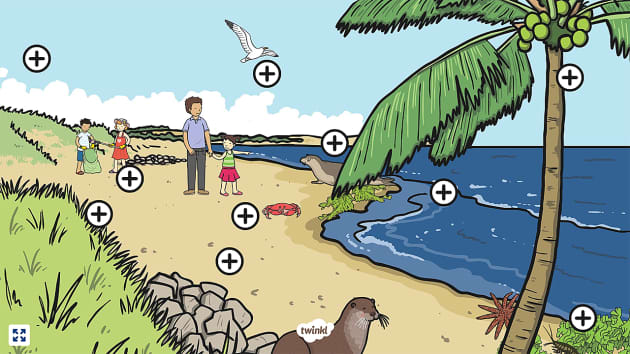 Beach Habitat Hotspots