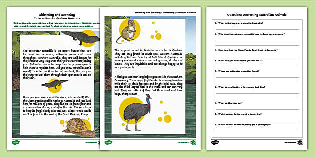 Skimming And Scanning Activities PDF Primary Resources