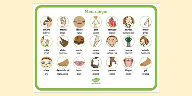 FREE! - Vocabulário sobre Partes do Corpo - Português/Ucraniano