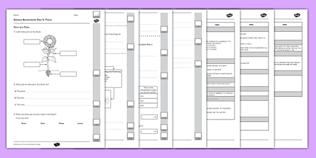 Editable Y3 Plants End of Unit Assessment (teacher made)