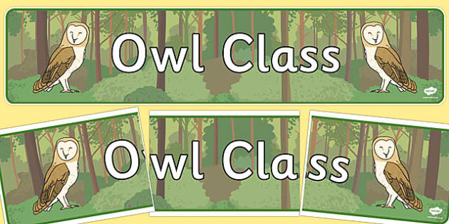 👉 Owl Class Display Banner (teacher made)