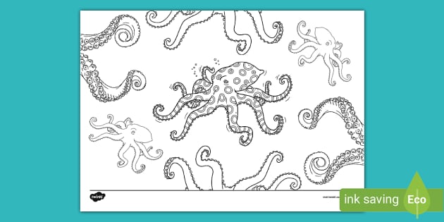 Octopus Doodle Colouring Page (teacher made) - Twinkl
