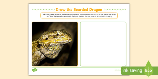 Draw the Bearded Dragon Art Activity, Bearded Dragon