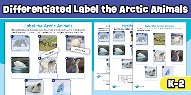 Label the Arctic Animals Differentiated Worksheet