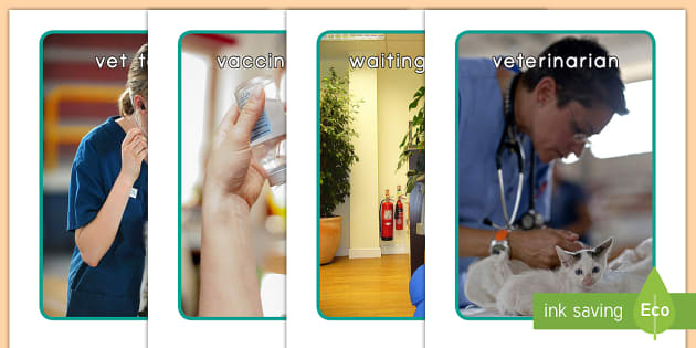 Veterinary Hospital Photos (teacher made) - Twinkl