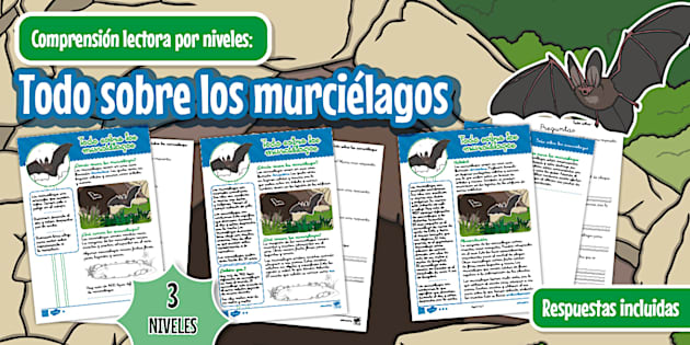Comprensión lectora por niveles: Todo sobre los murciélagos