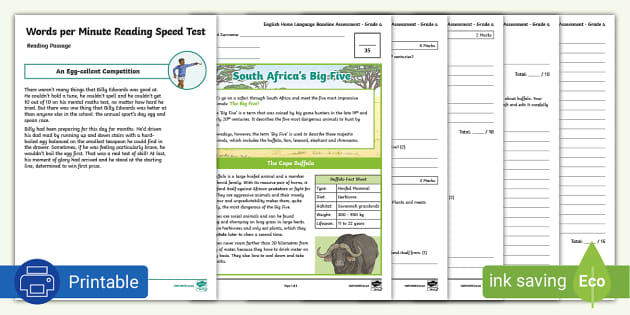 Grade 4 English Baseline Assessment Home Language Test