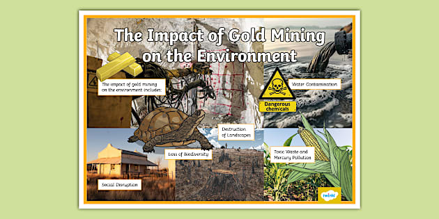 The Impact of Gold Mining on the Environment - Poster