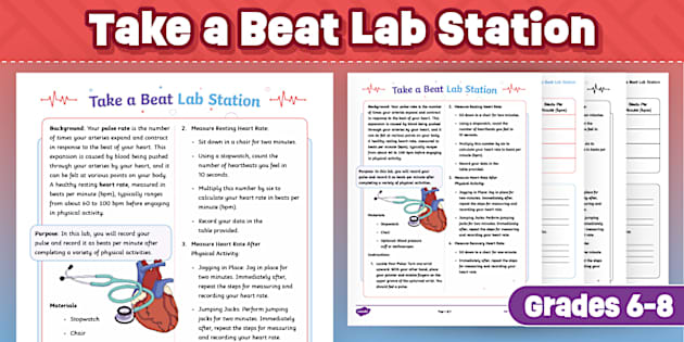 Hands-On Circulatory System: Take a Heartbeat Lab Station