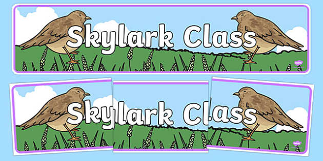 Skylark Class Display Banner (Hecho por educadores) - Twinkl Skylark Class Display Banner (Hecho por educadores) - Twinkl