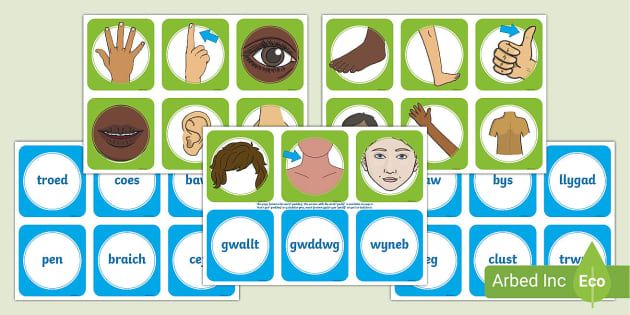 Welsh Language Parts Of The Body Word and Picture Matching Cards