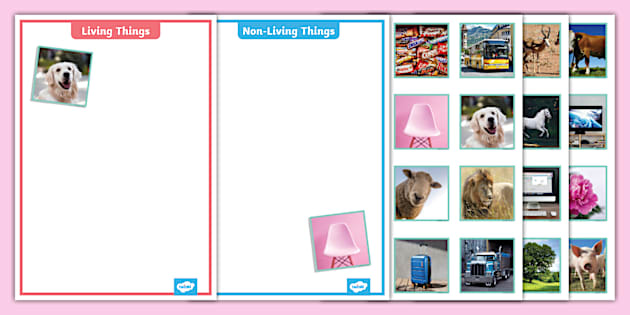 Pictures of Living and Non-Living Things - Twinkl Resource