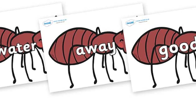 Next 200 Common Words on Ants - Next 200 Common Words on