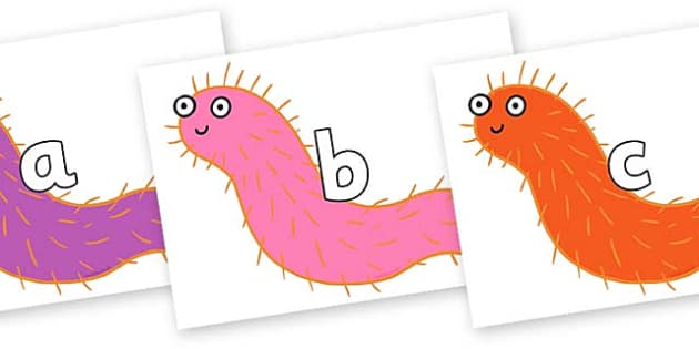 Phase 2 Phonemes on Bristle Worm to Support Teaching on Sharing a Shell