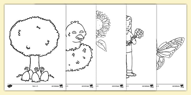 Welsh Spring Colouring Pages | Twinkl Resources | Wales