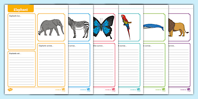 Animal Fact File Worksheets Primary Resource Animal Fact File Worksheets Primary Resource