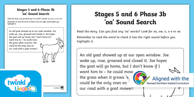 Northern Ireland Linguistic Phonics 3b 'oa' Sound Search Worksheet
