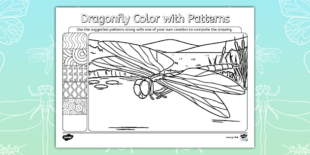 Dragonfly Color with Patterns Activity - Twinkl