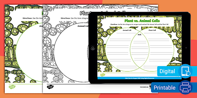 Plant vs. Animal Cell Organelles Venn Diagram (Teacher-Made)