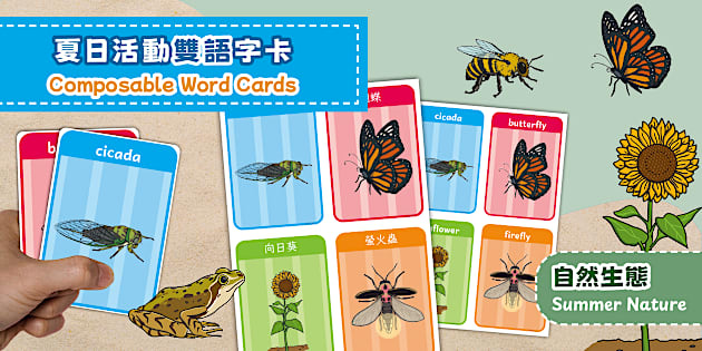 Summer Activities Bilingual Word Cards: Summer Nature｜夏日活動雙語字卡：自然生態