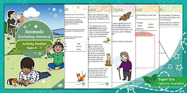 Year 2 Science: Animals Including Humans Activity Booklet