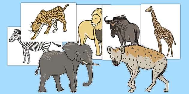 African Animals A4 Cut-Outs (teacher made)