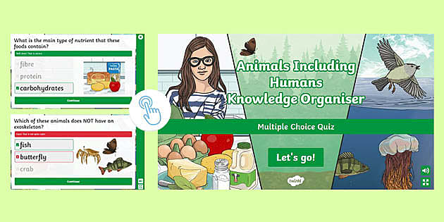 Science: Animals Including Humans: Year 3: Interactive Quiz