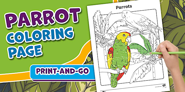 parrot bird coloring pages