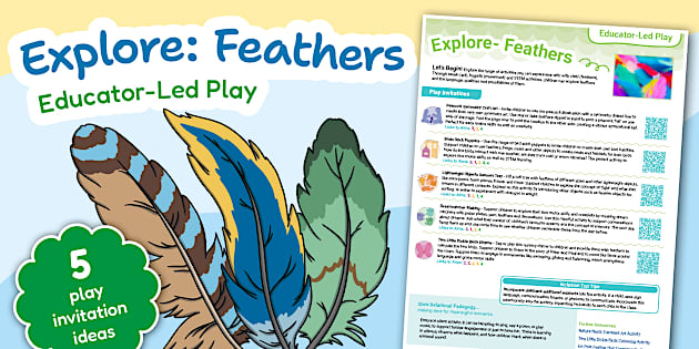 Explore: Feathers Educator-Led Play