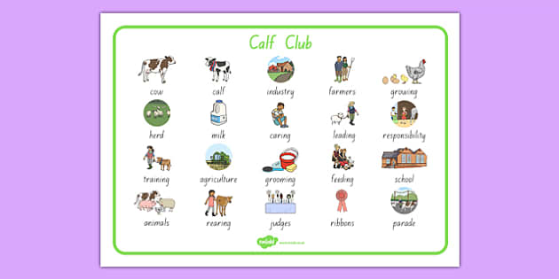 Calf Club Word Mat (Teacher-Made)