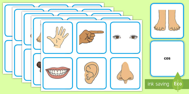 Parts of the Body Words and Pictures Matching Cards Gaeilge