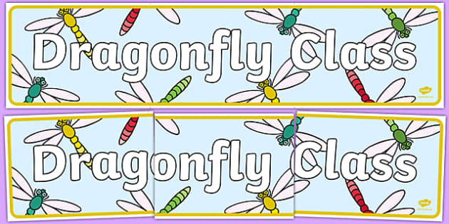 👉 Printable Dragonfly Class Display Banner - Primary Resources