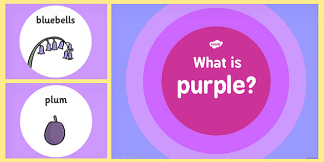 What is Purple Colour PowerPoint (teacher made)