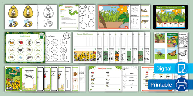 Early Childhood Insects Literacy Activity Pack - Twinkl